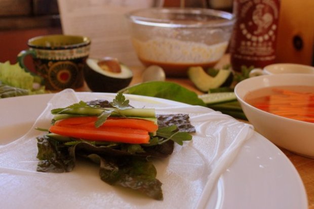 crunchy garden spring rolls with pickled carrots | girl farm kitchen